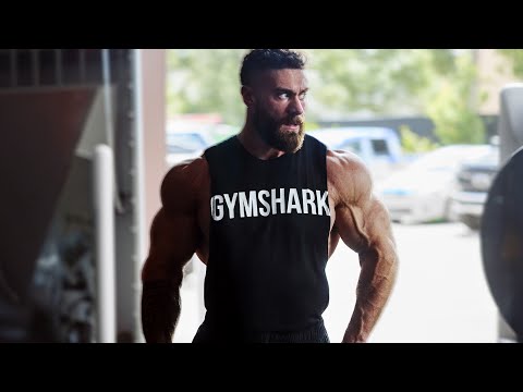 Revealed: Sam Sulek Workout Routine - Gymfluencers America
