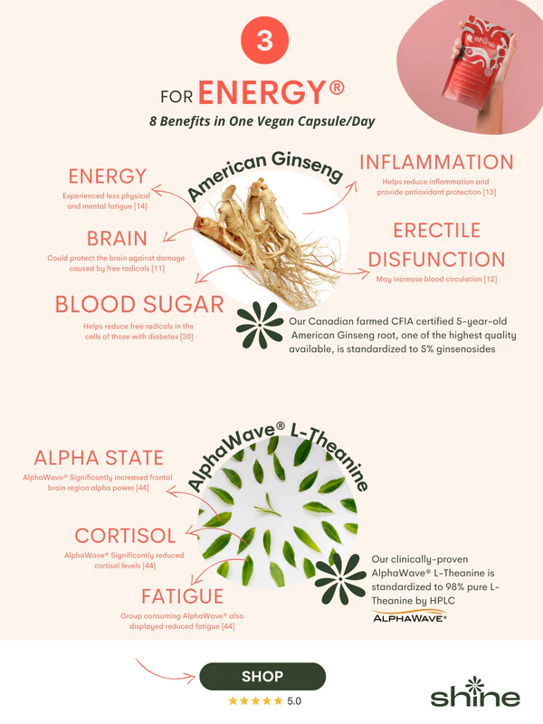 Increase Brain Power & Productivity Thanks To Shine Energy ...